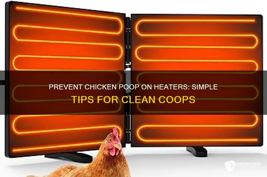 Prevent Chicken Poop On Heaters: Simple Tips For Clean Coops | CyChicken