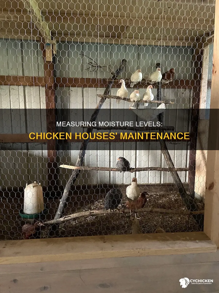 Measuring Moisture Levels: Chicken Houses' Maintenance | CyChicken