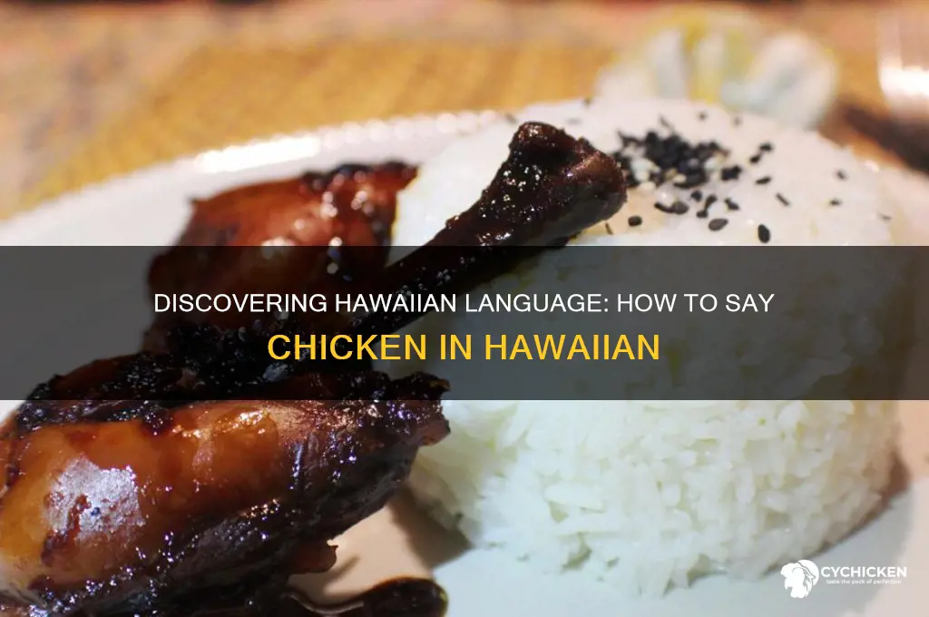 Discovering Hawaiian Language: How To Say Chicken In Hawaiian | CyChicken