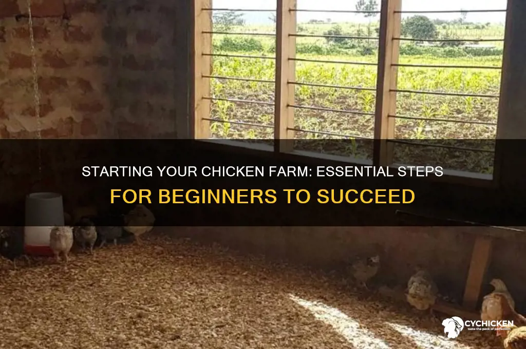 Starting Your Chicken Farm: Essential Steps For Beginners To Succeed ...
