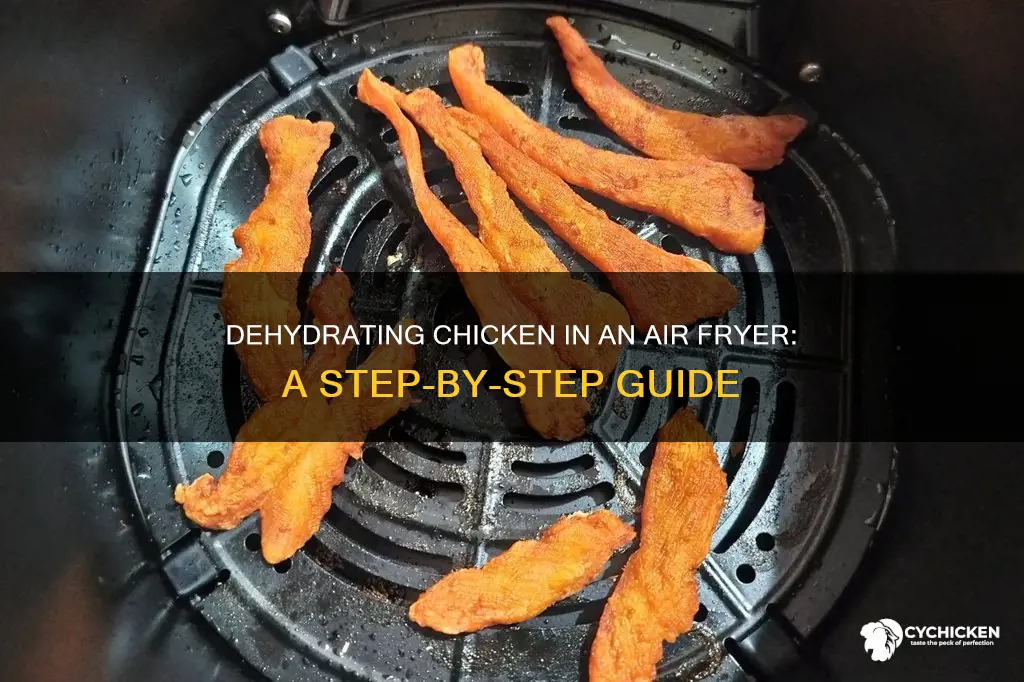 Dehydrating Chicken In An Air Fryer: A Step-By-Step Guide | CyChicken