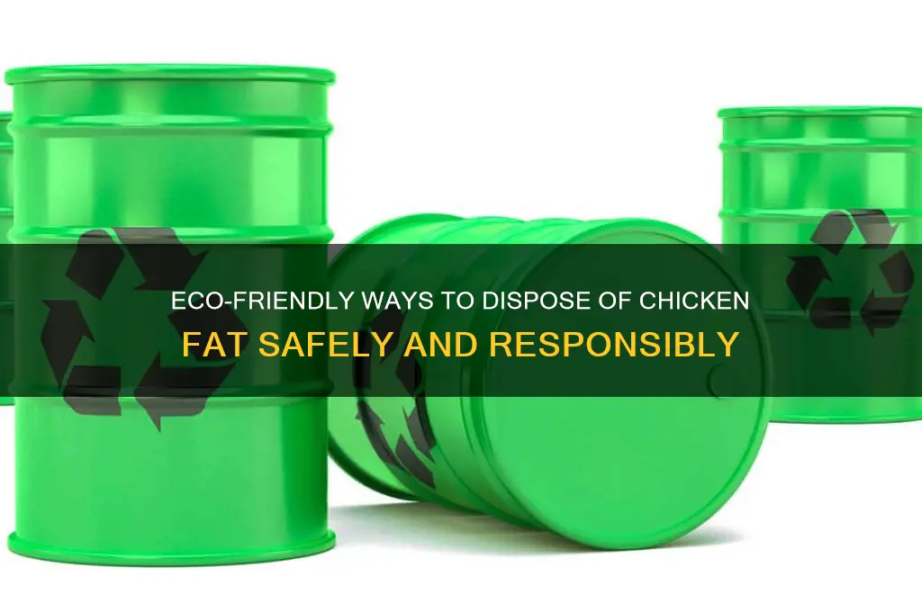 Eco-Friendly Ways To Dispose Of Chicken Fat Safely And Responsibly ...