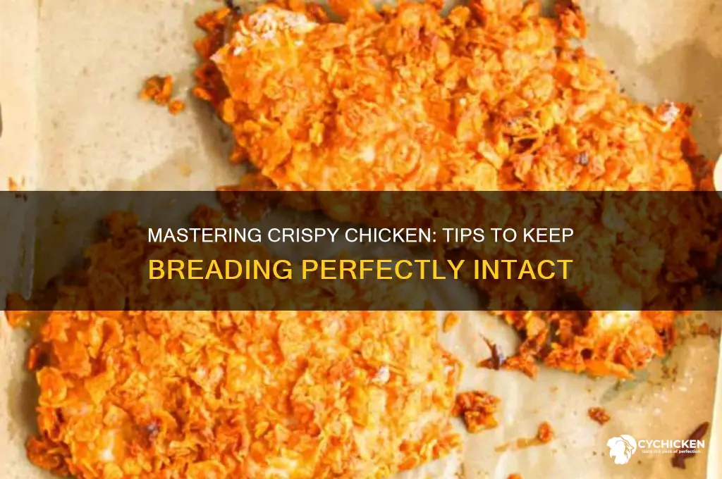 Mastering Crispy Chicken: Tips To Keep Breading Perfectly Intact ...
