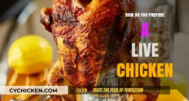 Compassionate Ways To Euthanize A Chicken: A Step-By-Step Guide | CyChicken