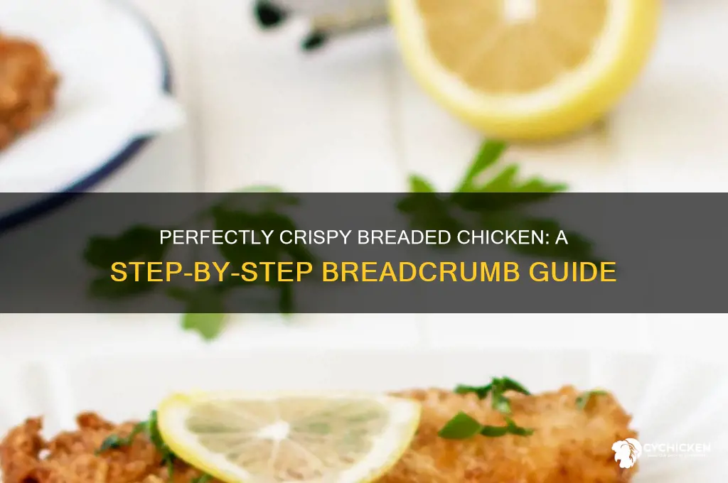 Perfectly Crispy Breaded Chicken: A Step-By-Step Breadcrumb Guide ...