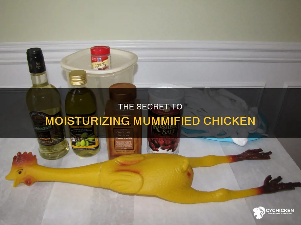 The Secret To Moisturizing Mummified Chicken | CyChicken