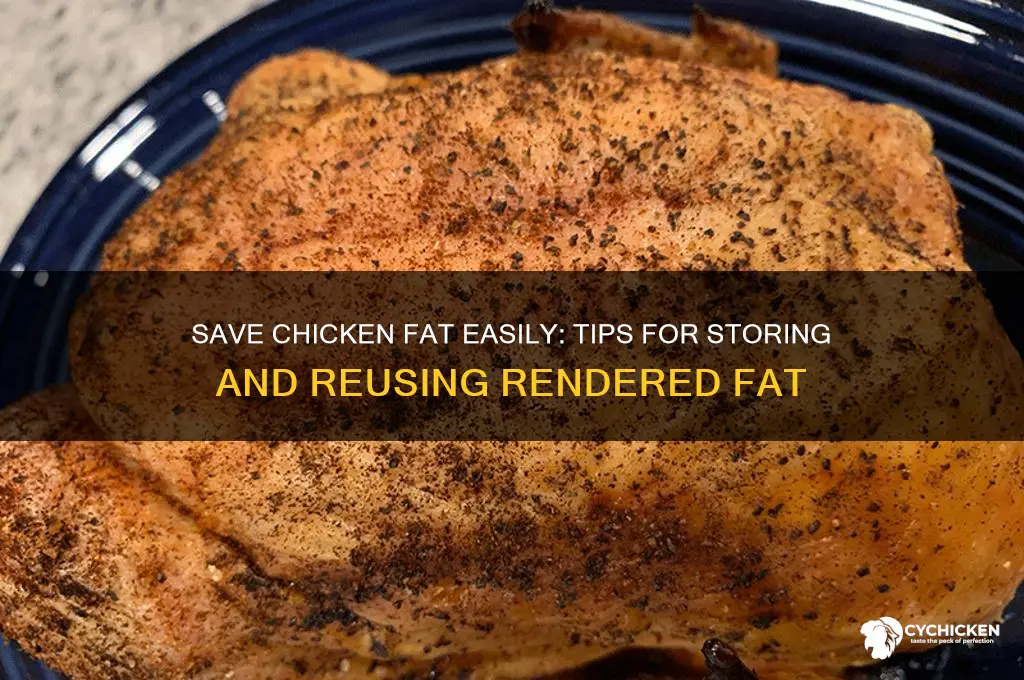 Save Chicken Fat Easily: Tips For Storing And Reusing Rendered Fat ...