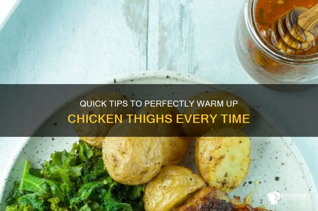Quick Tips To Perfectly Warm Up Chicken Thighs Every Time | CyChicken