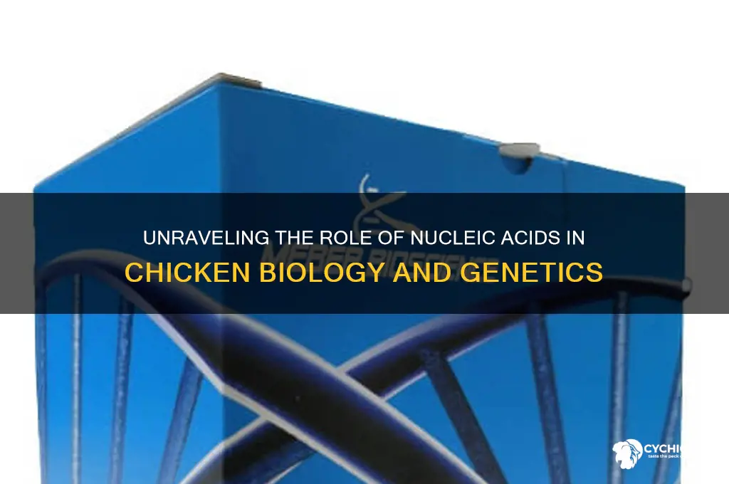Unraveling The Role Of Nucleic Acids In Chicken Biology And Genetics ...