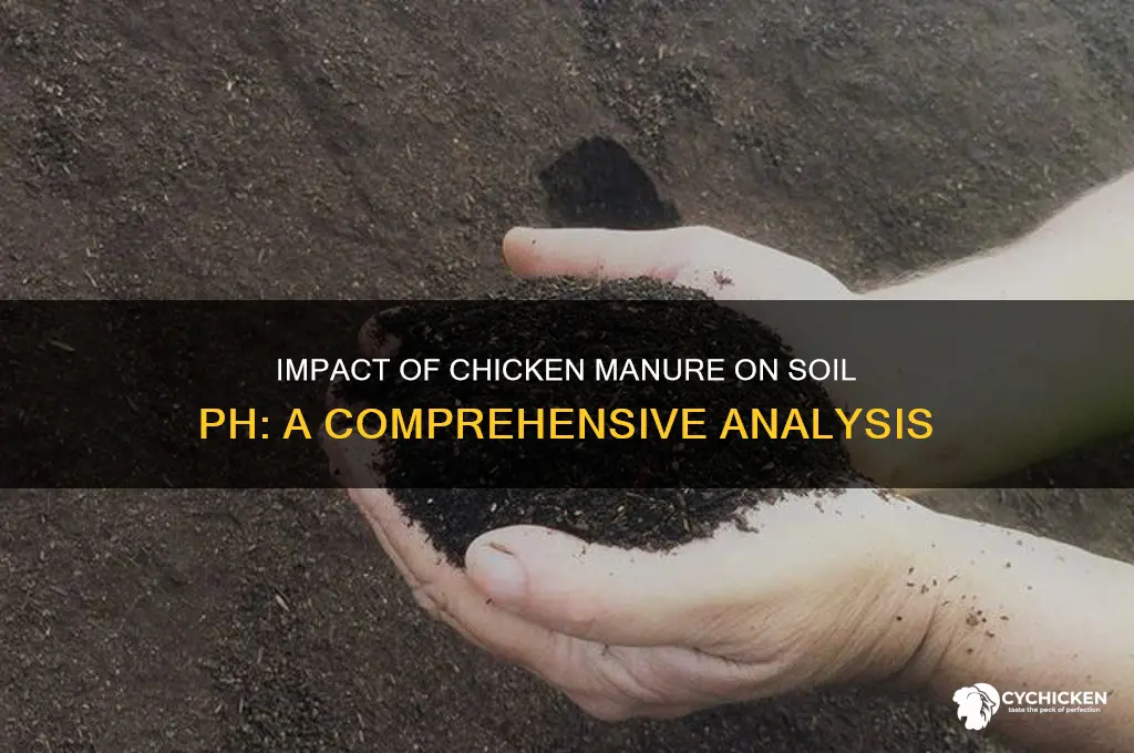 Impact Of Chicken Manure On Soil Ph: A Comprehensive Analysis | CyChicken