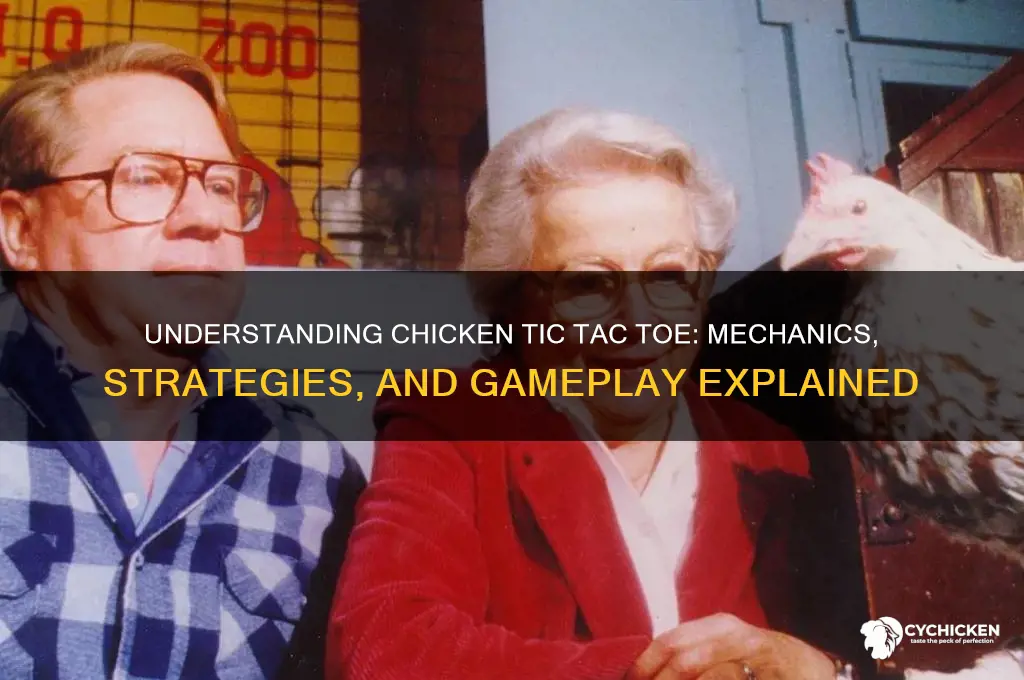 Understanding Chicken Tic Tac Toe: Mechanics, Strategies, And Gameplay ...