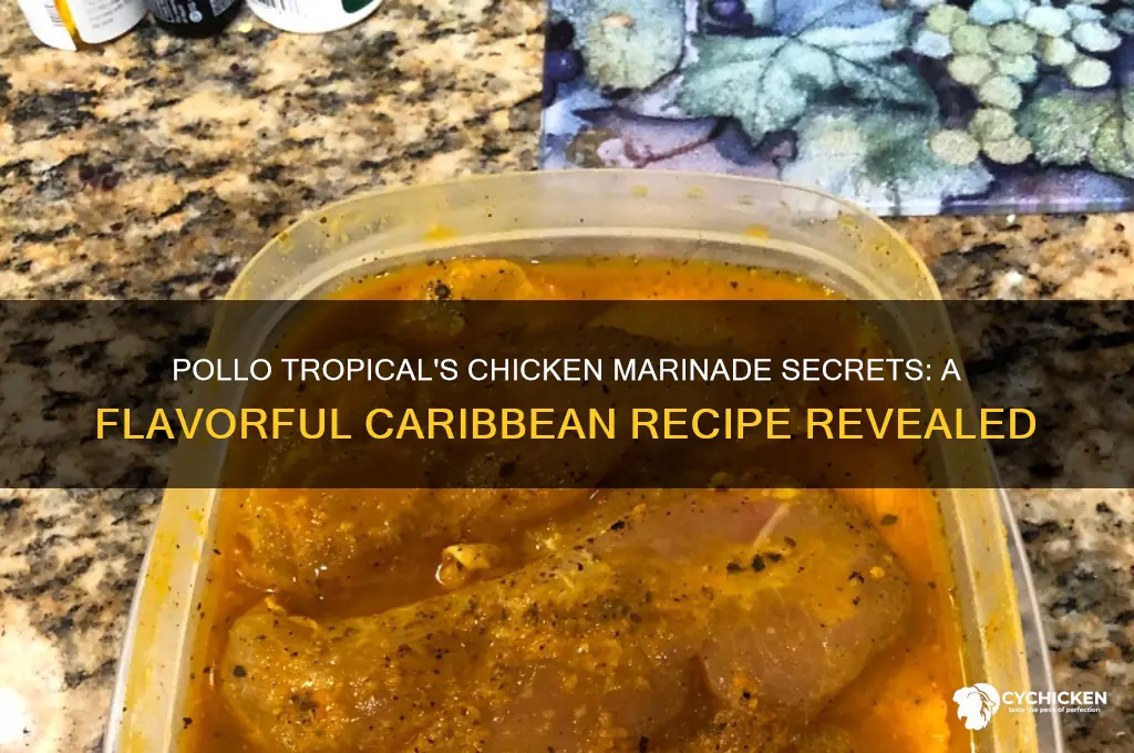 Pollo Tropical's Chicken Marinade Secrets: A Flavorful Caribbean Recipe ...