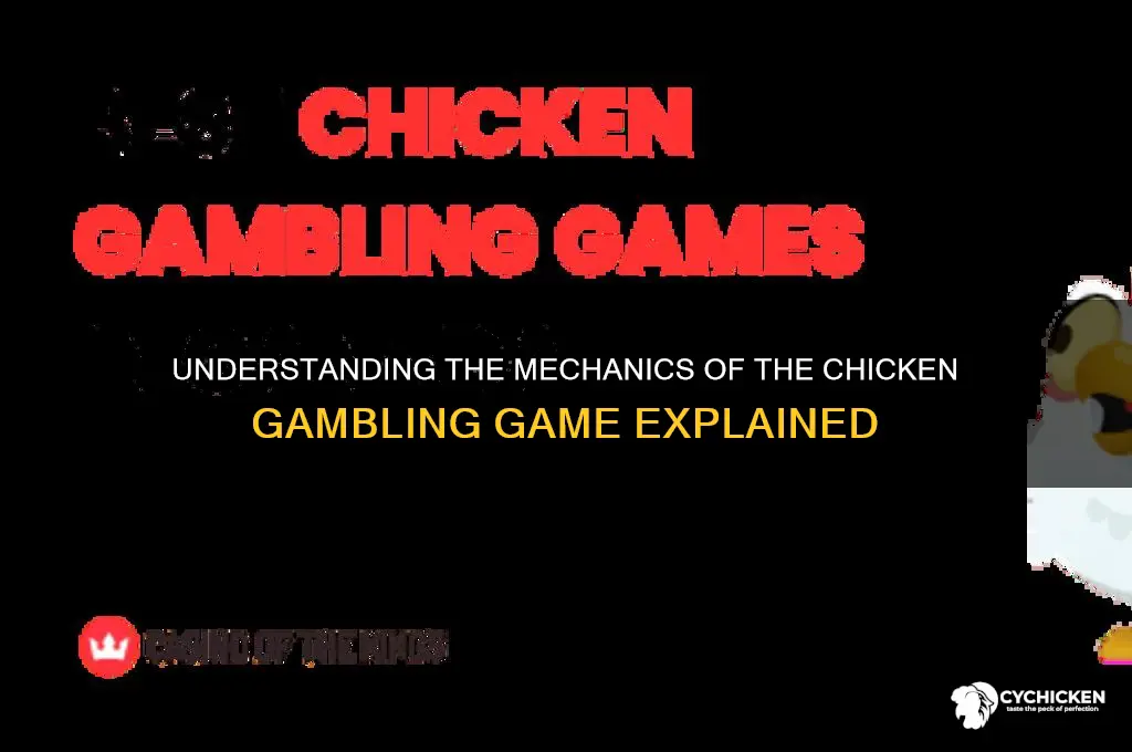 Understanding The Mechanics Of The Chicken Gambling Game Explained ...