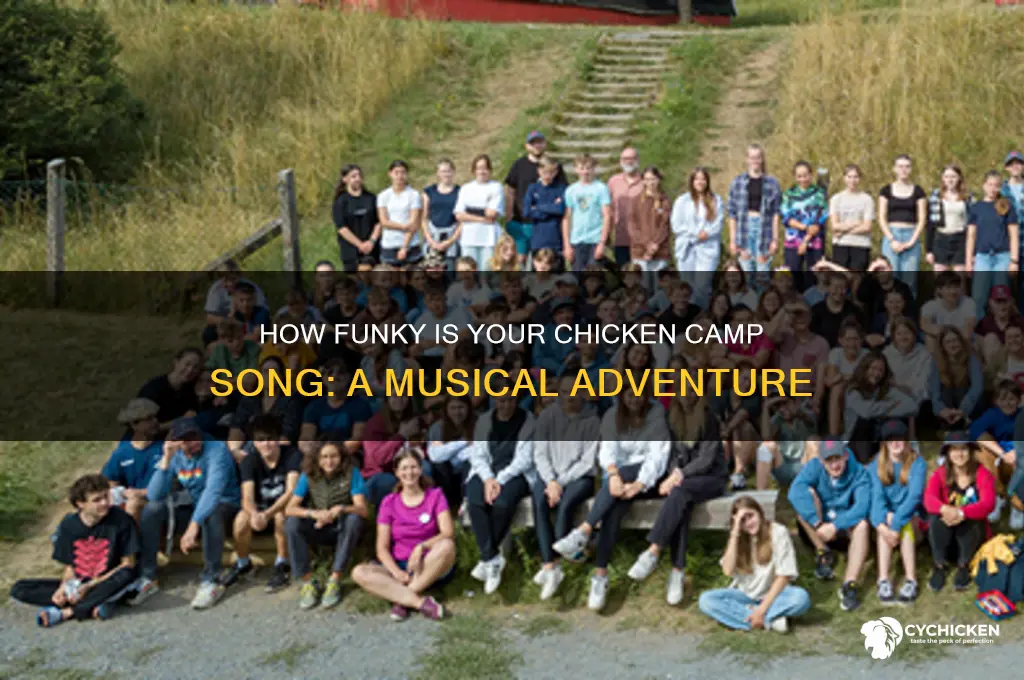 How Funky Is Your Chicken Camp Song: A Musical Adventure | CyChicken