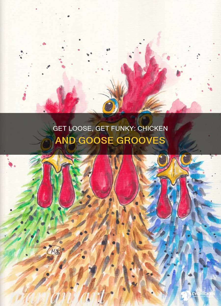 Get Loose, Get Funky: Chicken And Goose Grooves | CyChicken