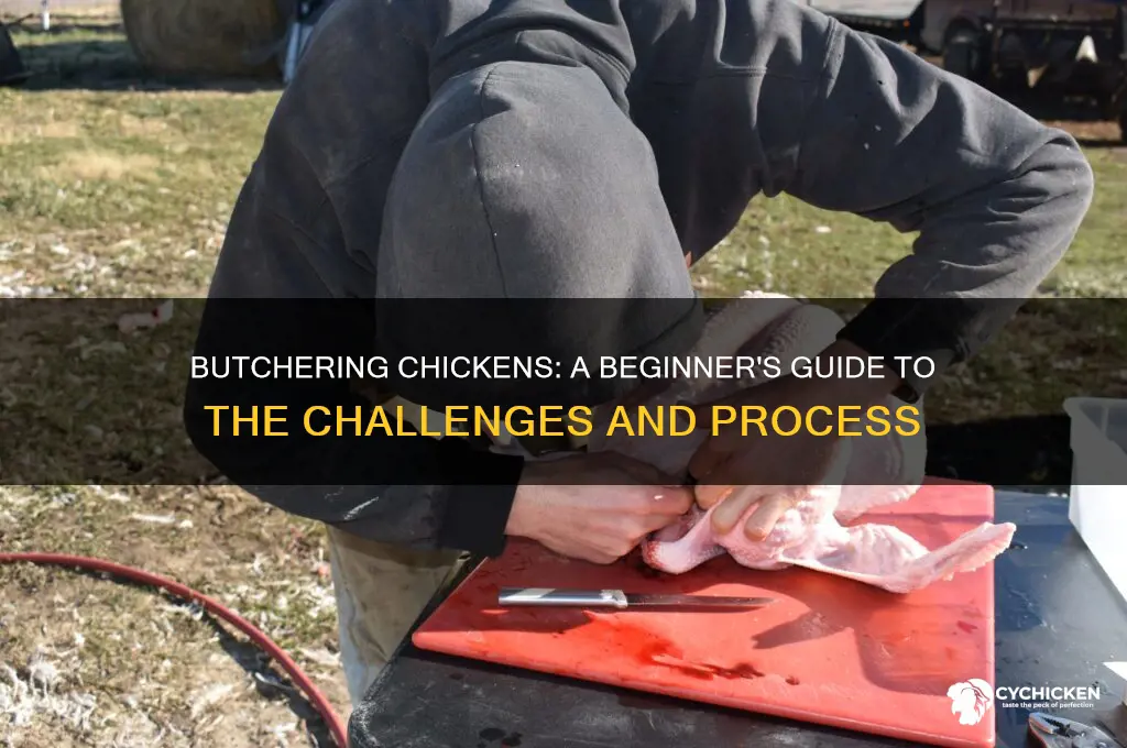 Butchering Chickens: A Beginner's Guide To The Challenges And Process ...