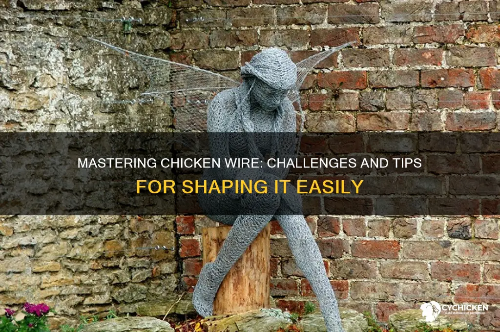 Mastering Chicken Wire: Challenges And Tips For Shaping It Easily ...