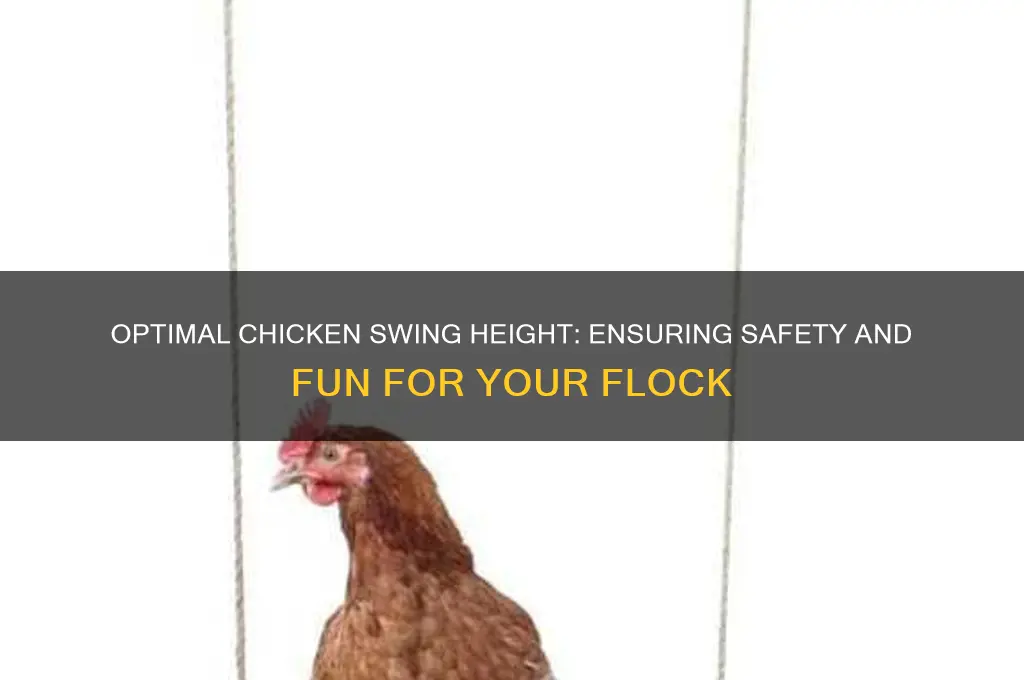 Optimal Chicken Swing Height: Ensuring Safety And Fun For Your Flock ...