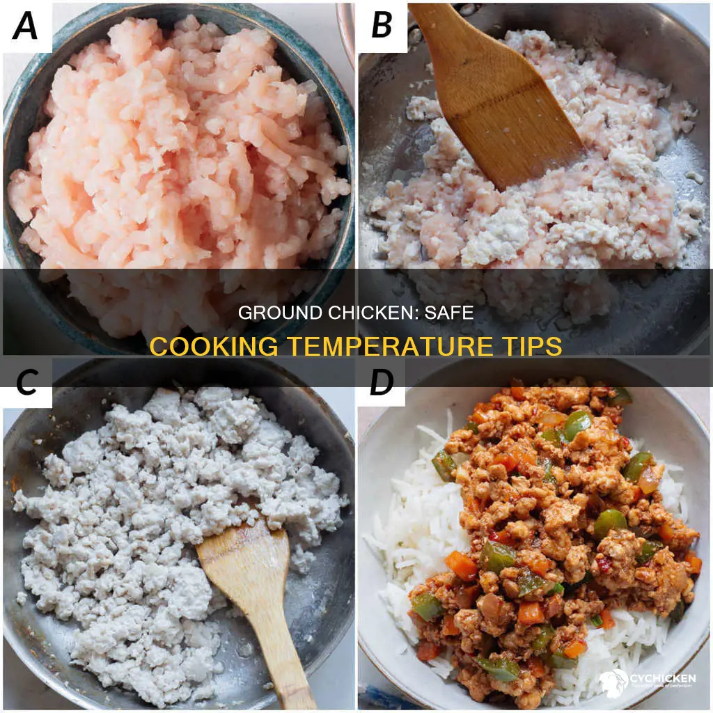 Ground Chicken: Safe Cooking Temperature Tips | CyChicken