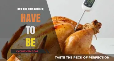 Perfect Portion Guide: How Much Chicken To Eat Per Meal | CyChicken