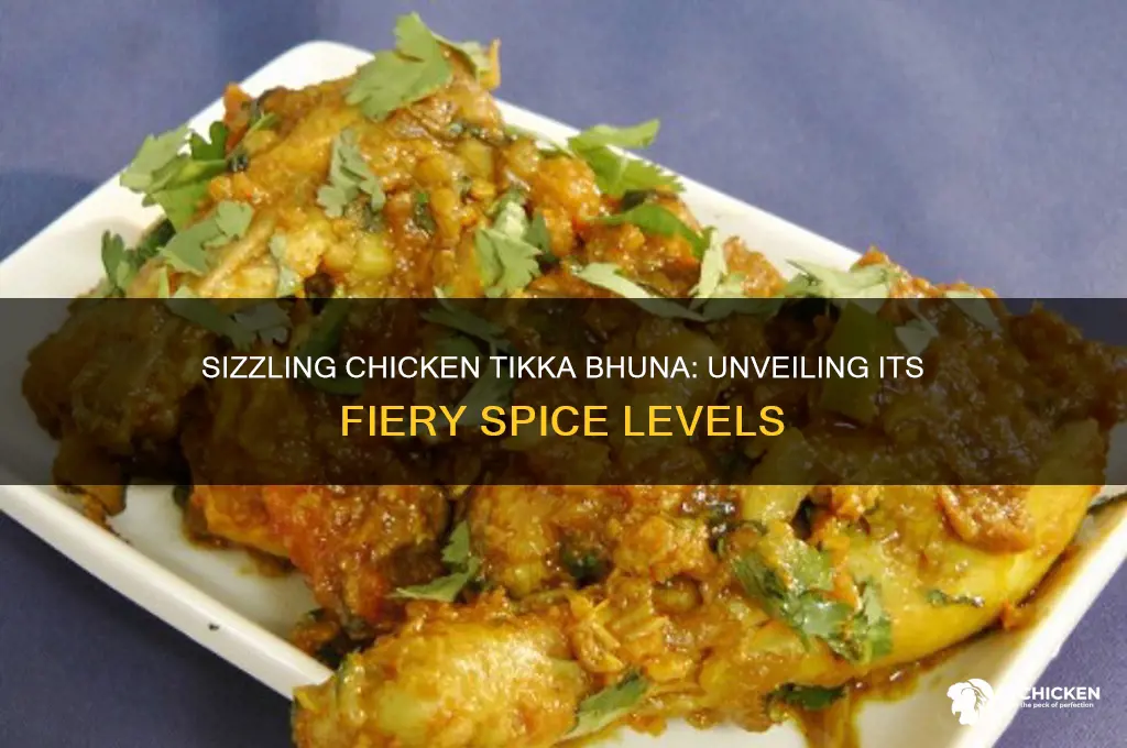 Sizzling Chicken Tikka Bhuna: Unveiling Its Fiery Spice Levels | CyChicken