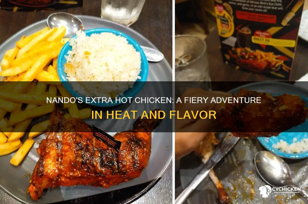 Nando's Extra Hot Chicken: A Fiery Adventure In Heat And Flavor | CyChicken