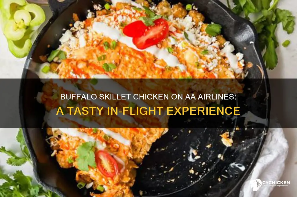 Buffalo Skillet Chicken On Aa Airlines: A Tasty In-Flight Experience ...