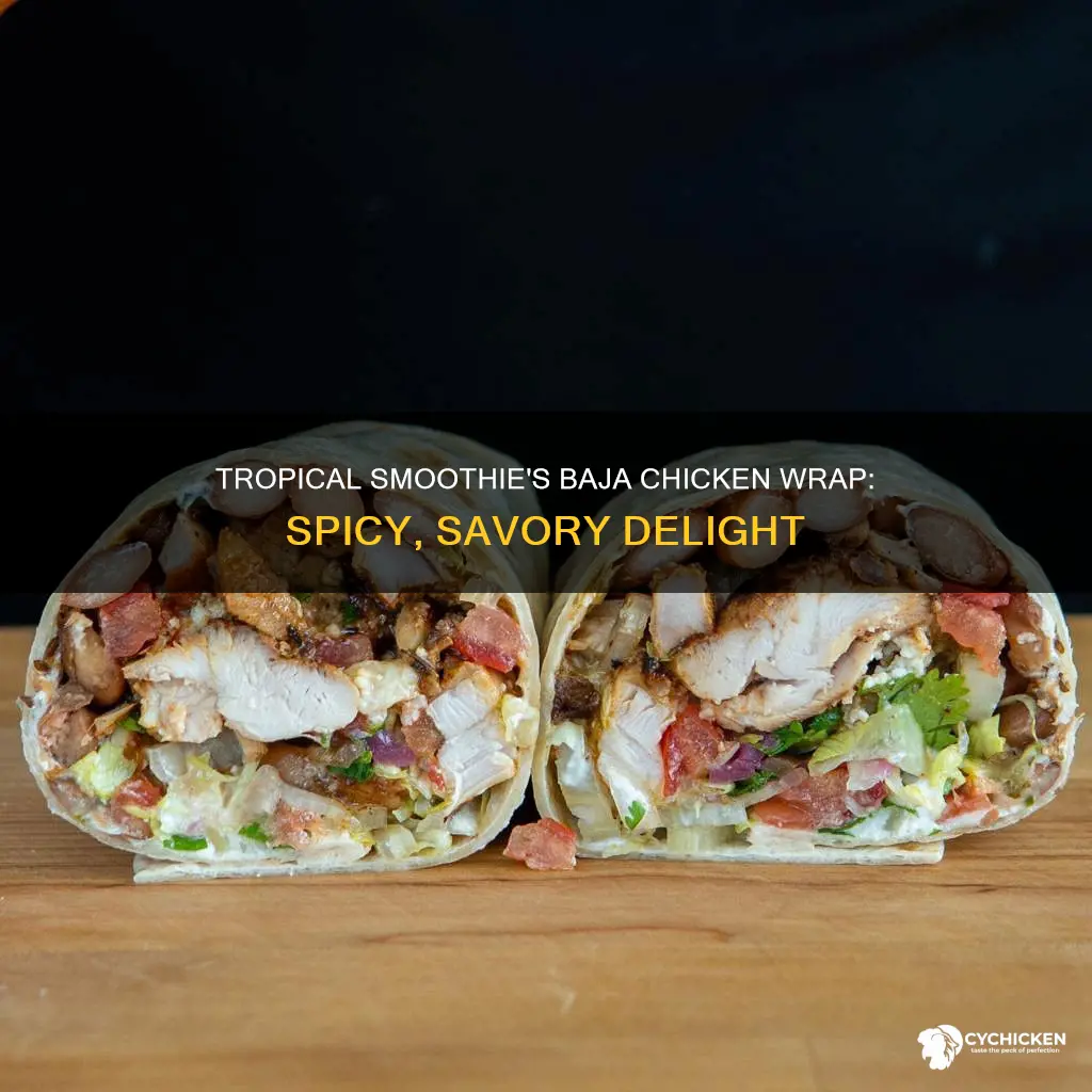 Tropical Smoothie's Baja Chicken Wrap: Spicy, Savory Delight | CyChicken