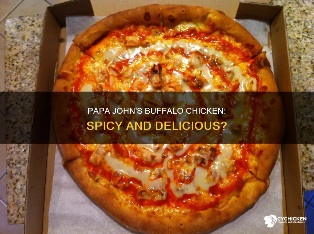 Papa John's Buffalo Chicken: Spicy And Delicious? | CyChicken