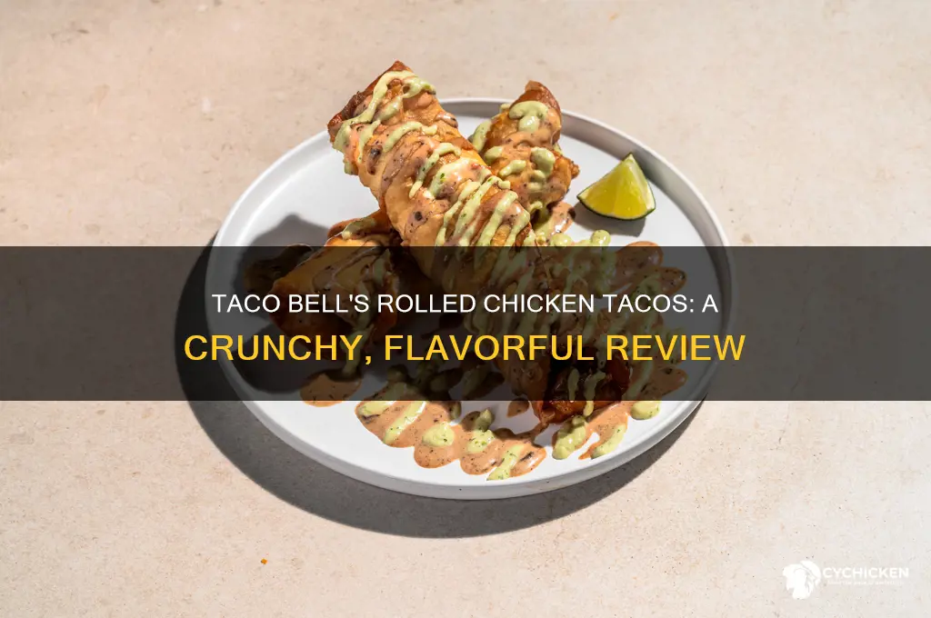 Taco Bell's Rolled Chicken Tacos: A Crunchy, Flavorful Review | CyChicken