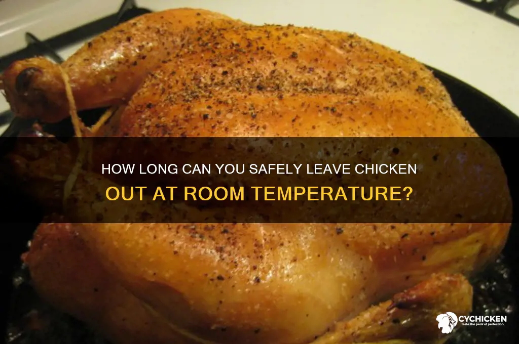 How Long Can You Safely Leave Chicken Out At Room Temperature? | CyChicken