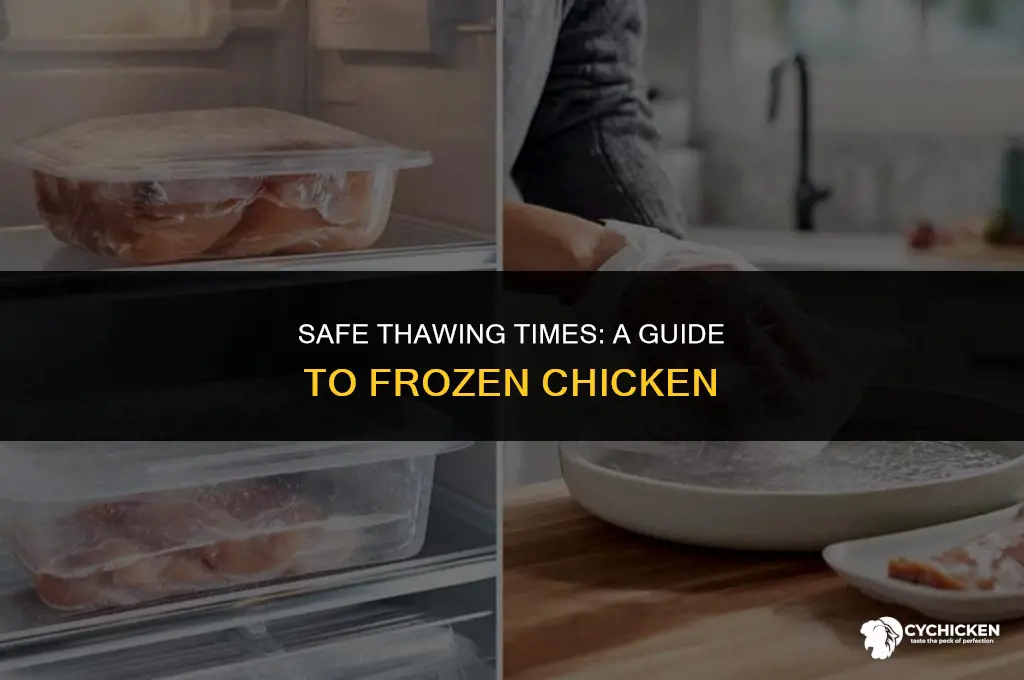Safe Thawing Times: A Guide To Frozen Chicken | CyChicken