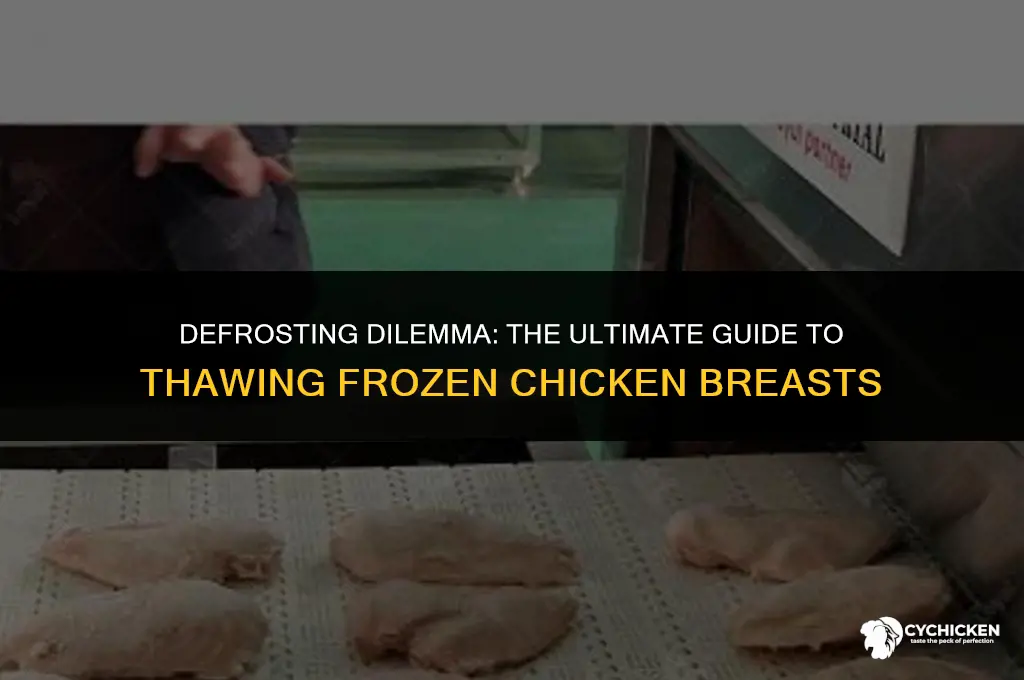 Defrosting Dilemma: The Ultimate Guide To Thawing Frozen Chicken ...