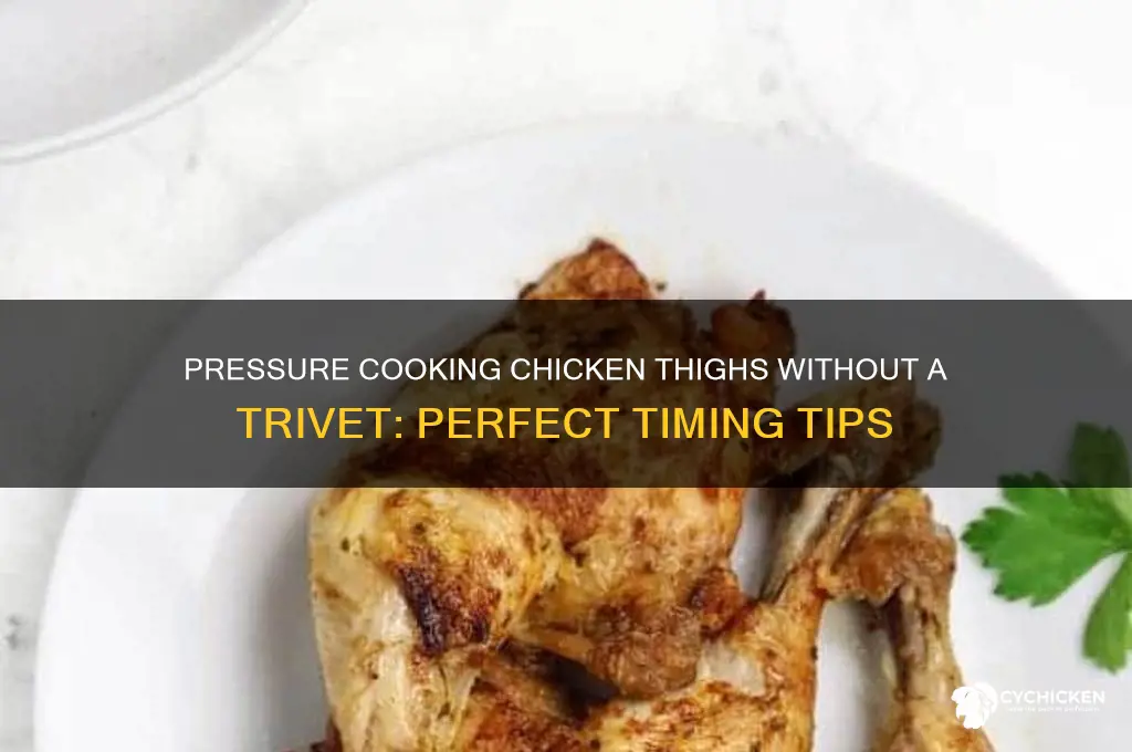 Pressure Cooking Chicken Thighs Without A Trivet: Perfect Timing Tips ...
