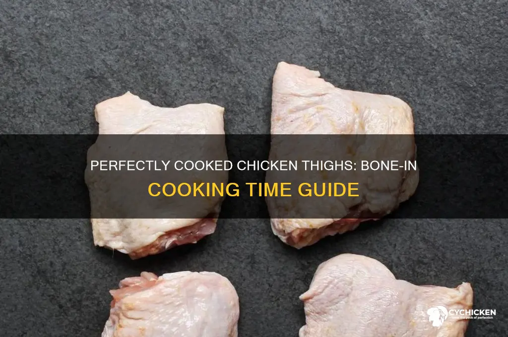 Perfectly Cooked Chicken Thighs: Bone-In Cooking Time Guide | CyChicken