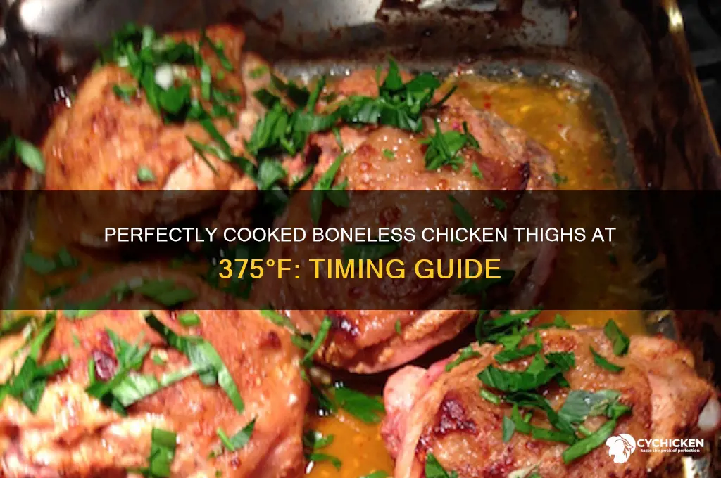Perfectly Cooked Boneless Chicken Thighs At 375°F: Timing Guide | CyChicken