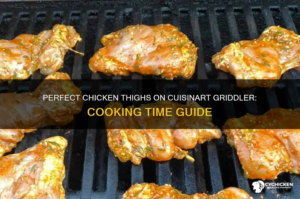 Perfect Chicken Thighs On Cuisinart Griddler: Cooking Time Guide ...