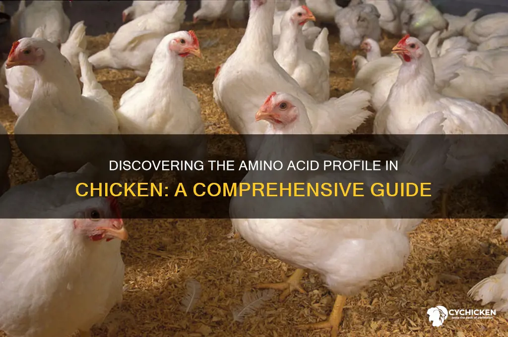 Discovering The Amino Acid Profile In Chicken: A Comprehensive Guide ...