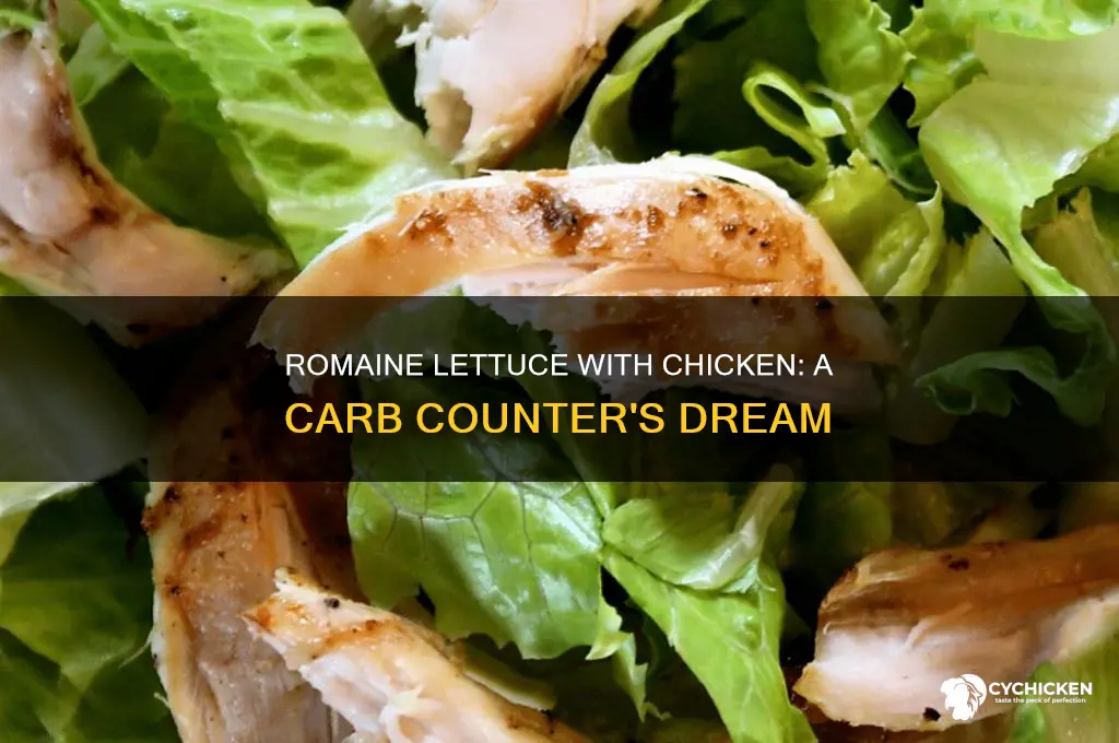 Romaine Lettuce With Chicken: A Carb Counter's Dream | CyChicken