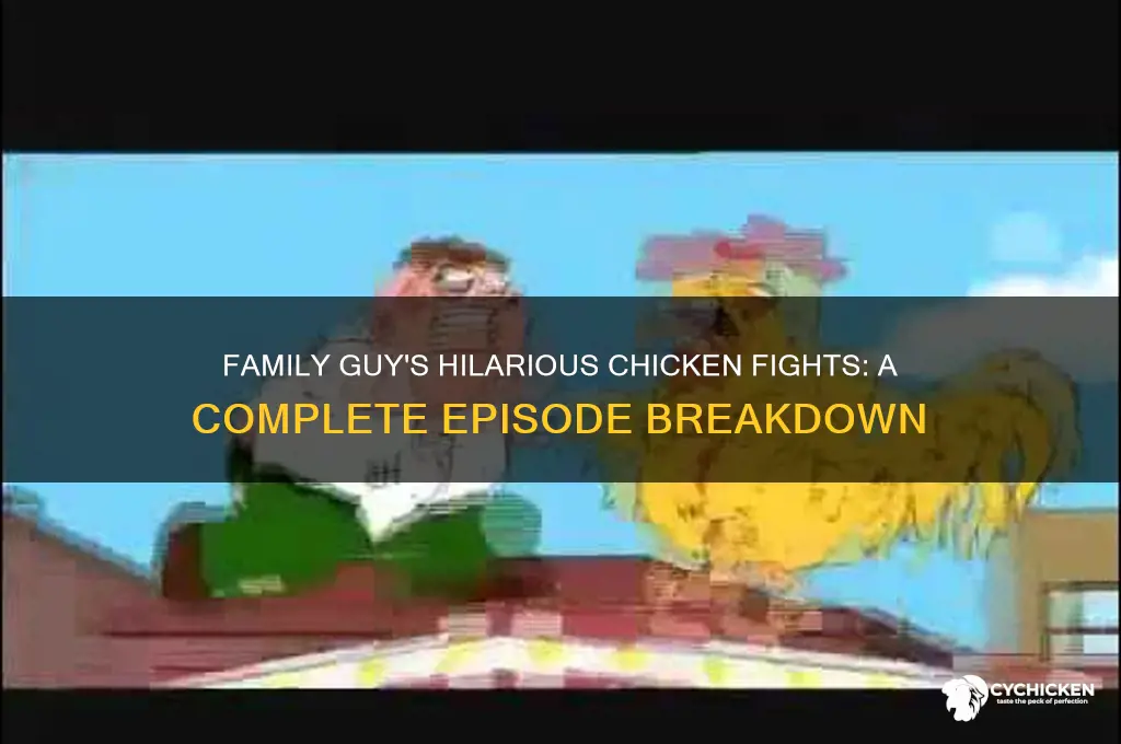Family Guy's Hilarious Chicken Fights: A Complete Episode Breakdown ...