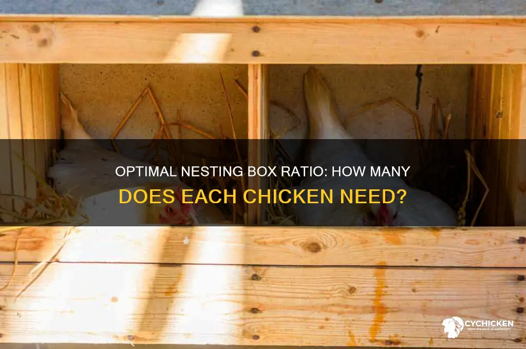 Optimal Nesting Box Ratio: How Many Does Each Chicken Need? | CyChicken