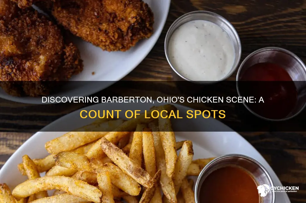 Discovering Barberton, Ohio's Chicken Scene: A Count Of Local Spots ...