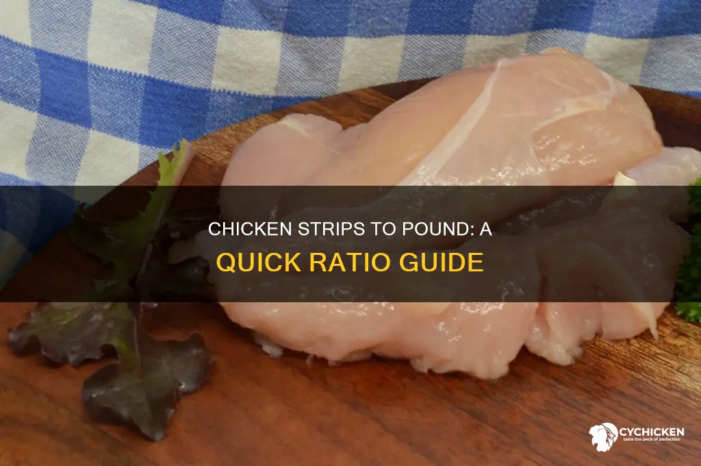 Chicken Strips To Pound: A Quick Ratio Guide | CyChicken