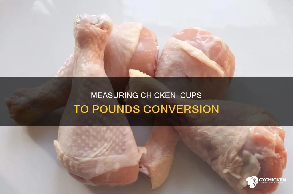 Measuring Chicken: Cups To Pounds Conversion | CyChicken