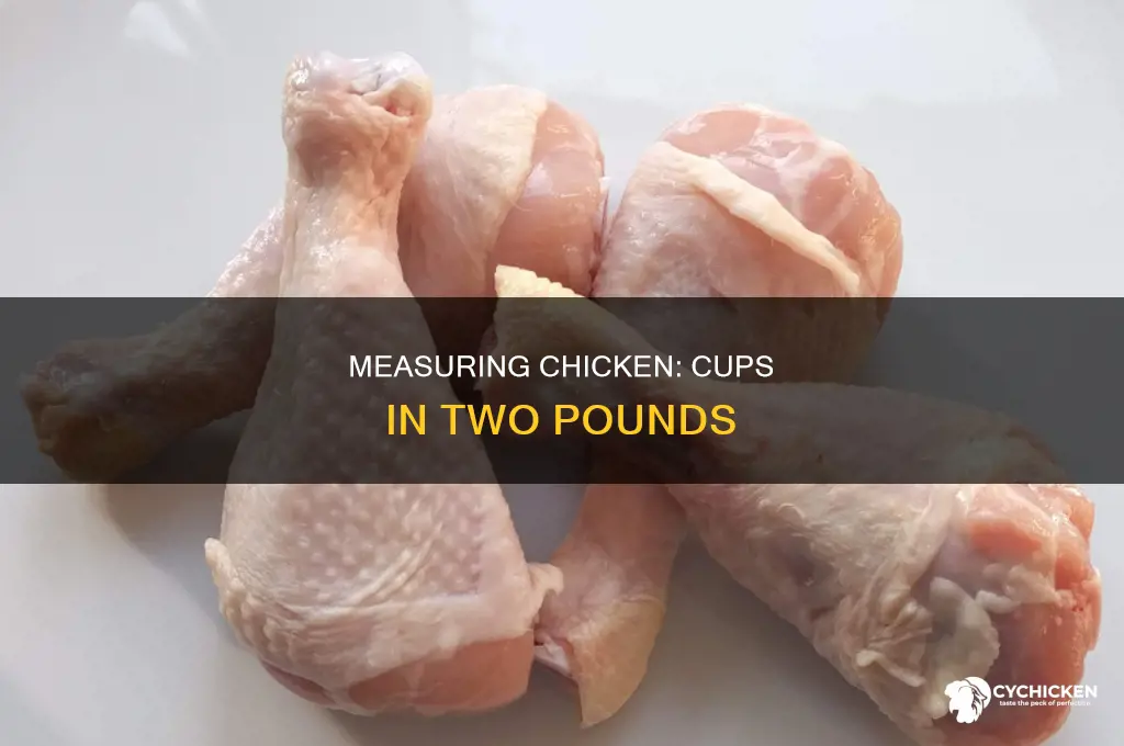 Measuring Chicken: Cups In Two Pounds | CyChicken