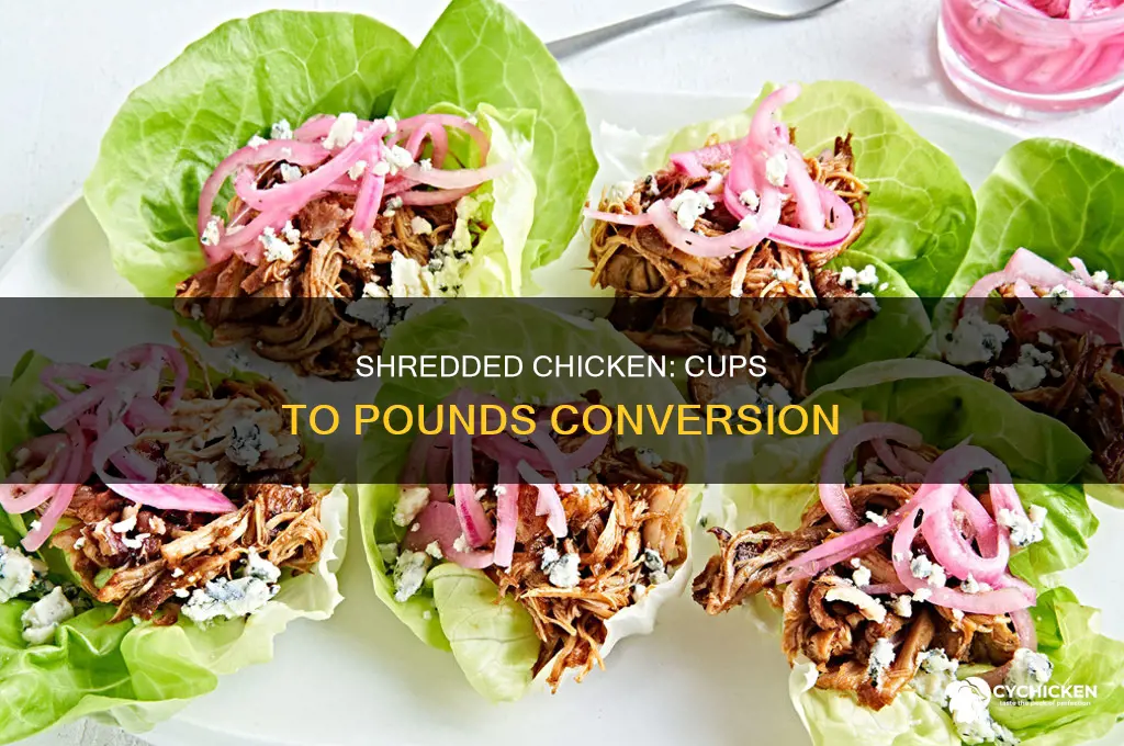Shredded Chicken: Cups To Pounds Conversion | CyChicken