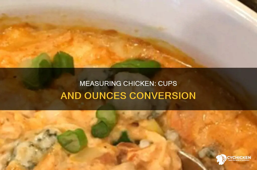 Measuring Chicken: Cups And Ounces Conversion | CyChicken