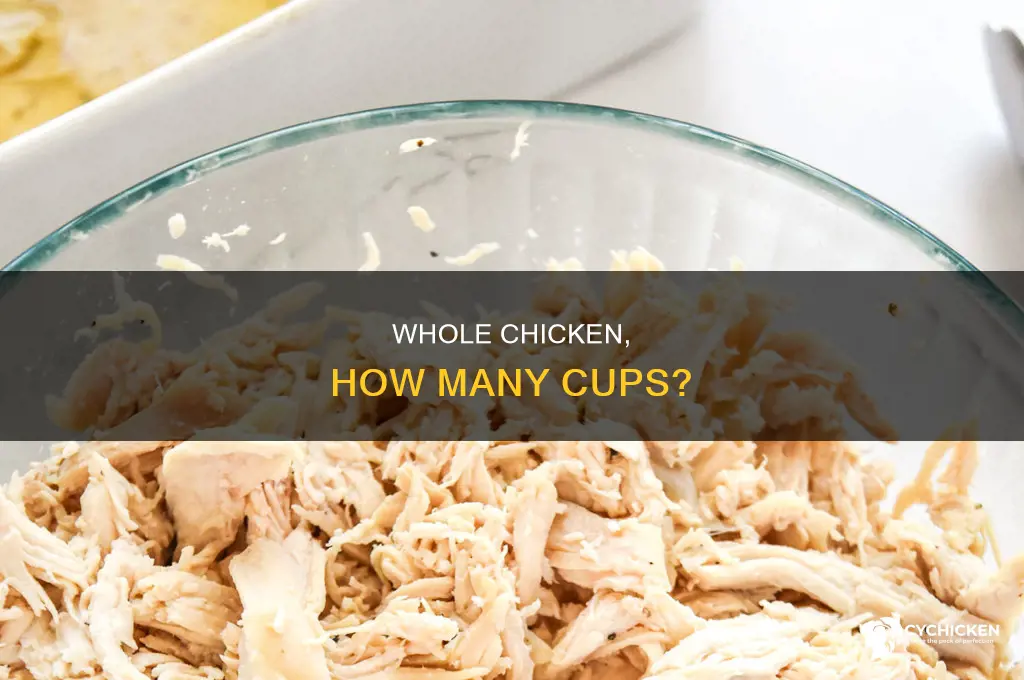 Whole Chicken, How Many Cups? | CyChicken