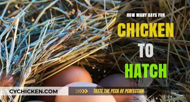 Defrosted Chicken: Safe Storage Days And Consumption Guidelines ...