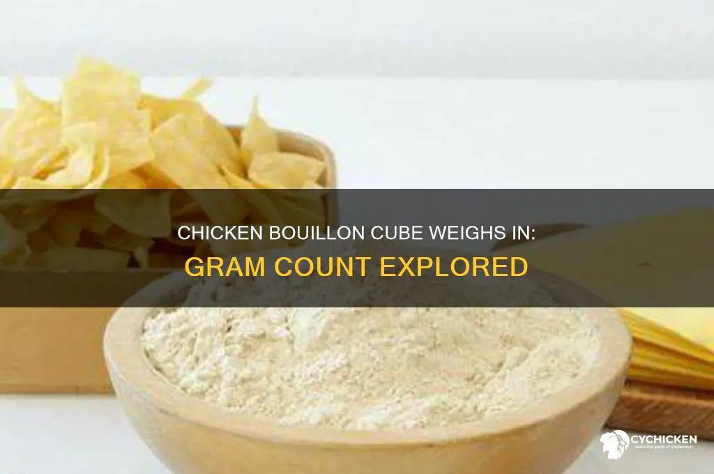 Chicken Bouillon Cube Weighs In: Gram Count Explored | CyChicken